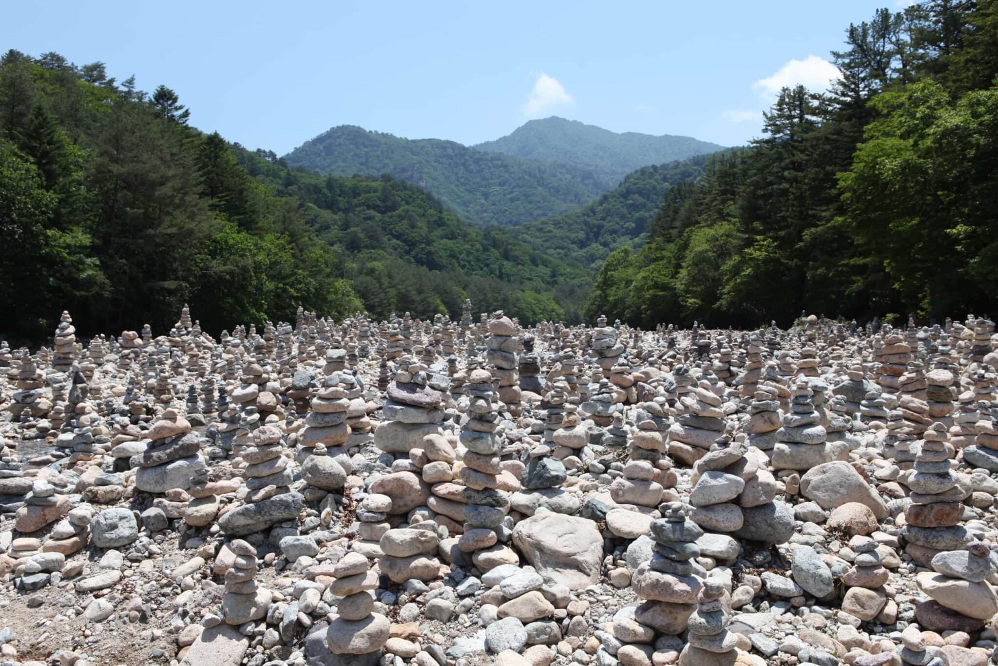 Nacionalinis kuksando centras